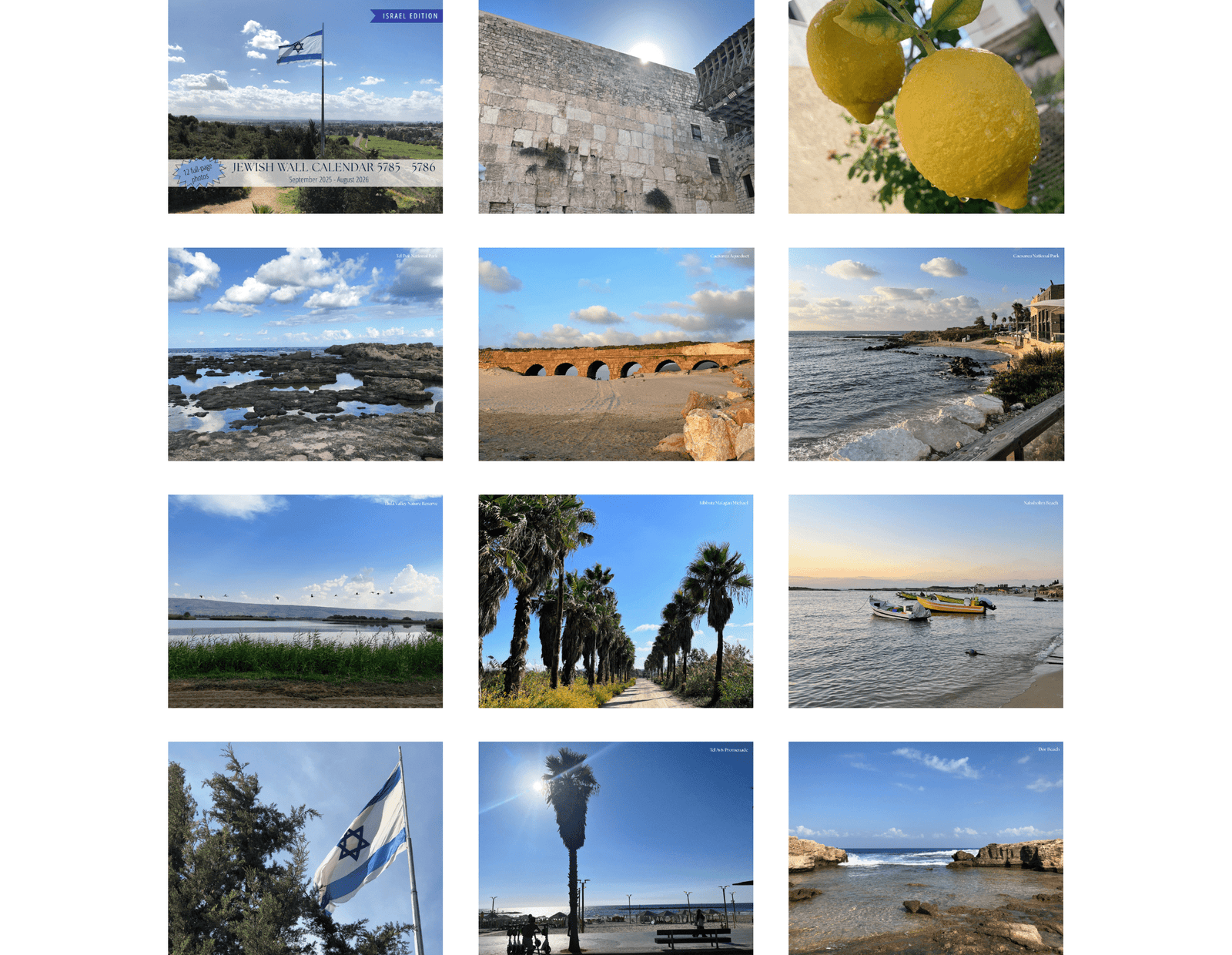 Israel Edition Jewish Wall Calendar 2025-2026 (5786)