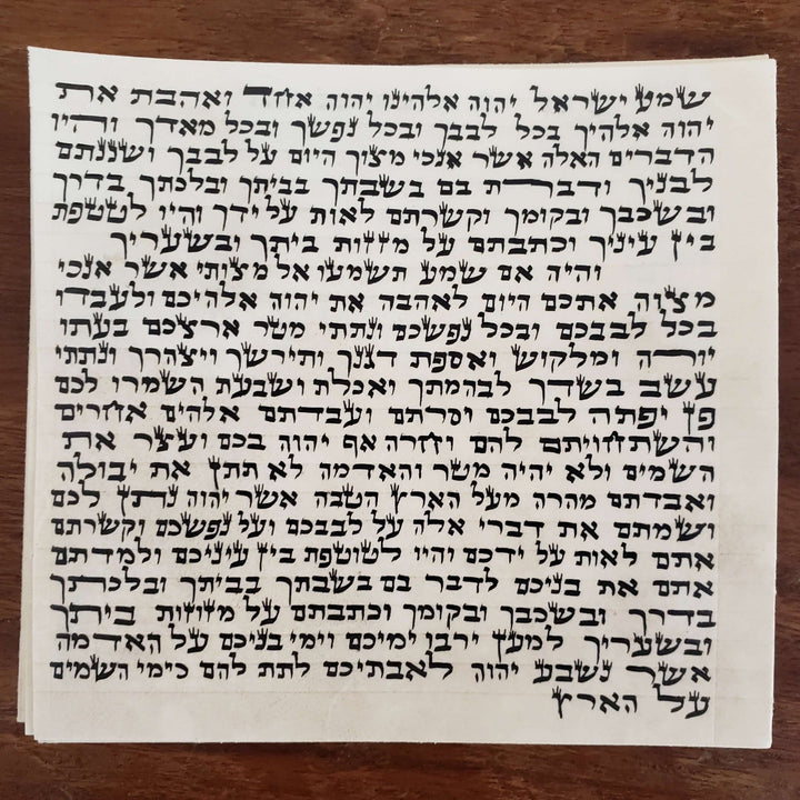 Jewish Stuff | Fast Shipping, Over 100 Brands | ModernTribe